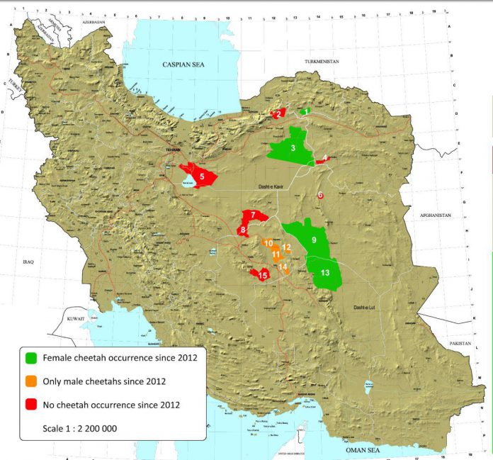 The Unknown Fate of the Asiatic Cheetah Iranian Cheetah Society